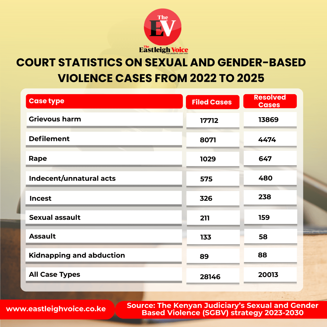 Court statistics on sexual and gender-based violence cases from 2022 to ...