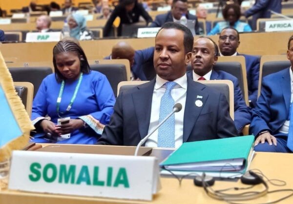 Somalia elected to AU Peace and Security Council for the first time in ...