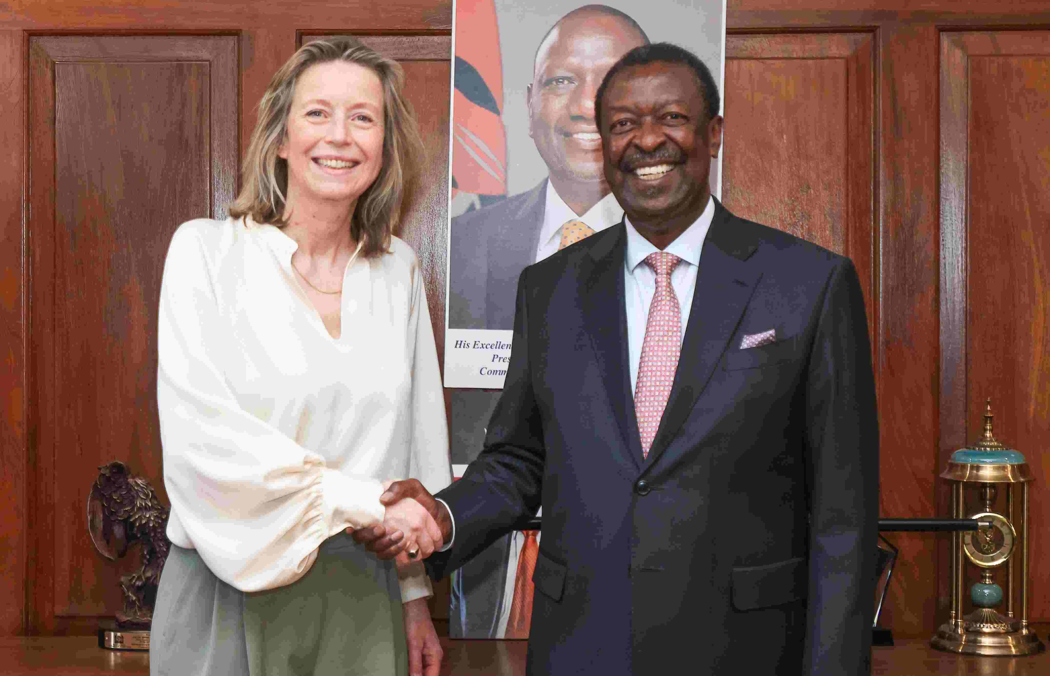 Kenya, EU to strengthen human rights partnership, combat misinformation ...