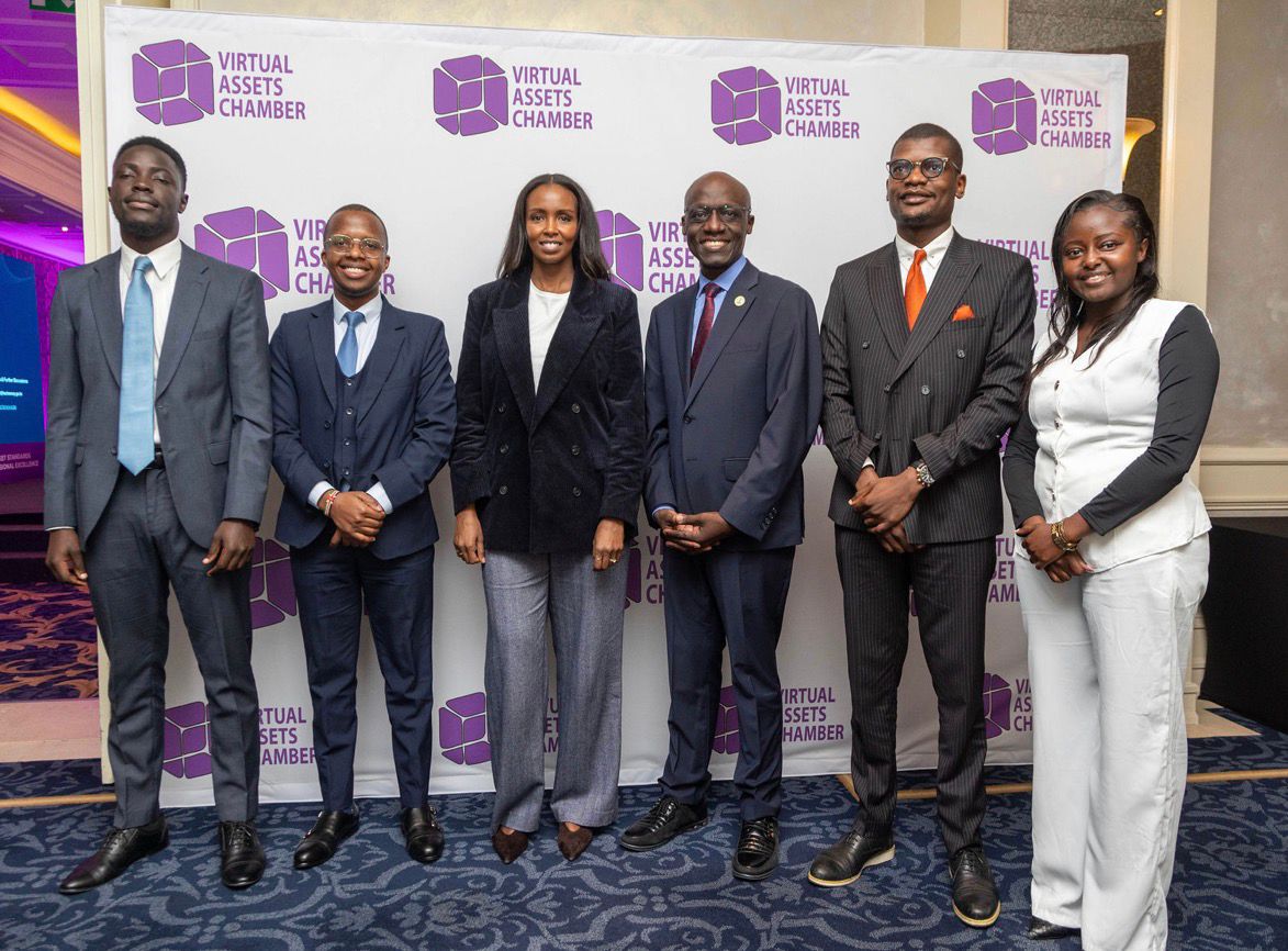 New council and institute unveiled to steer regulation, skills in ...